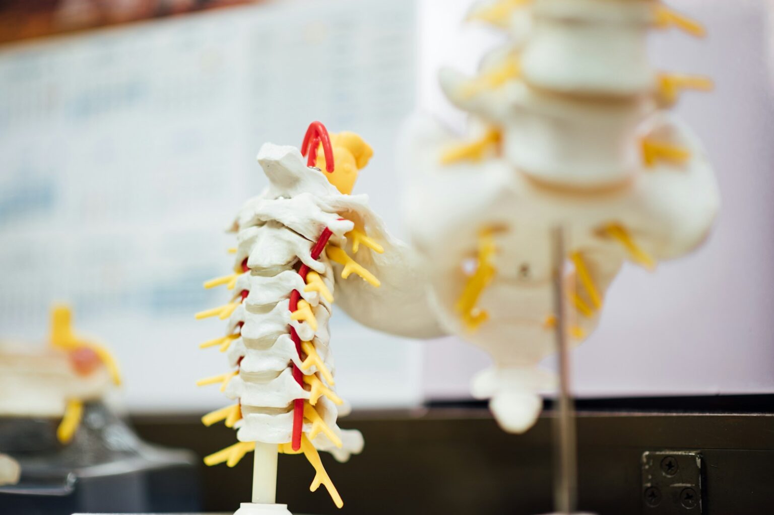 What Is a Discectomy | Penn Spine & Orthopedic