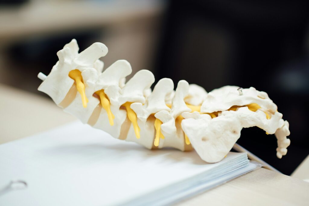 Lumbar Discectomy Recovery | Penn Spine & Orthopedic