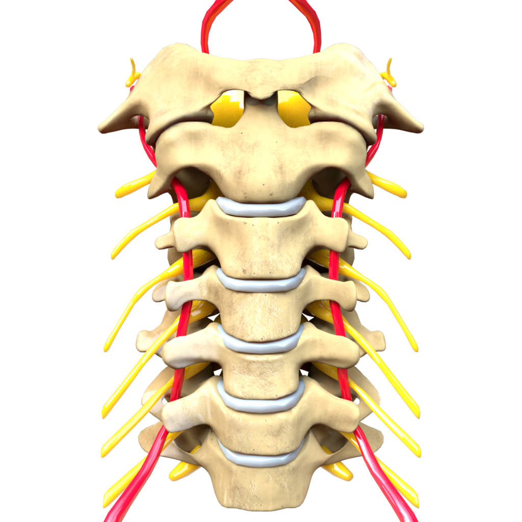 What to Expect After Disc Replacement Surgery of the Neck | Penn Spine ...